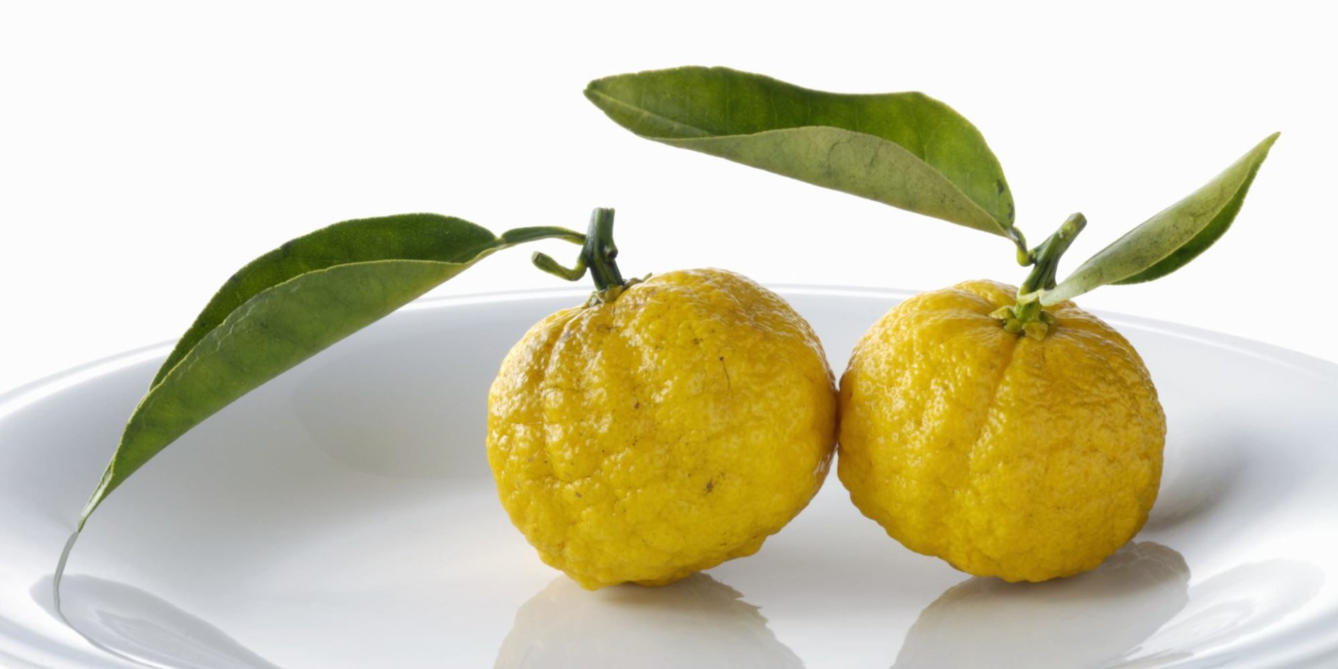 Daiquiri Yuzu Recettes Simples Et Faciles De Framboize Daiquiri Yuzu Recettes Simples Et Faciles De Framboize
